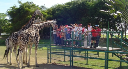 Centro de Interpretación de la Naturaleza Yumká, Tabasco - TuriMexico