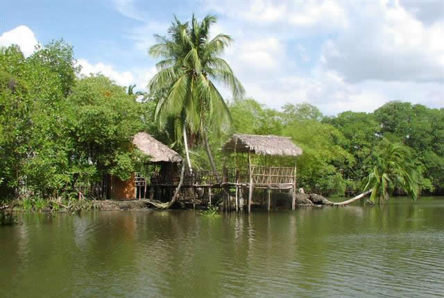Pantanos de Centla (Tabasco) - TuriMexico