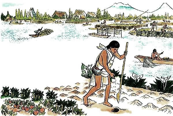 Organización Económica, Política y Social de los Aztecas - TuriMexico