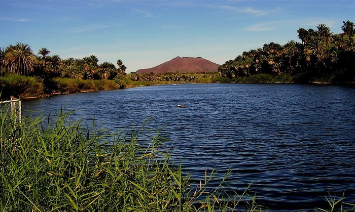 Laguna de San Ignacio en Baja California - TuriMexico