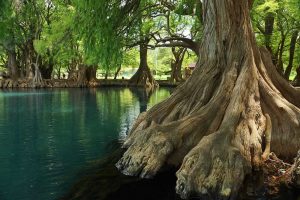 Nurio, Michoacán - TuriMexico