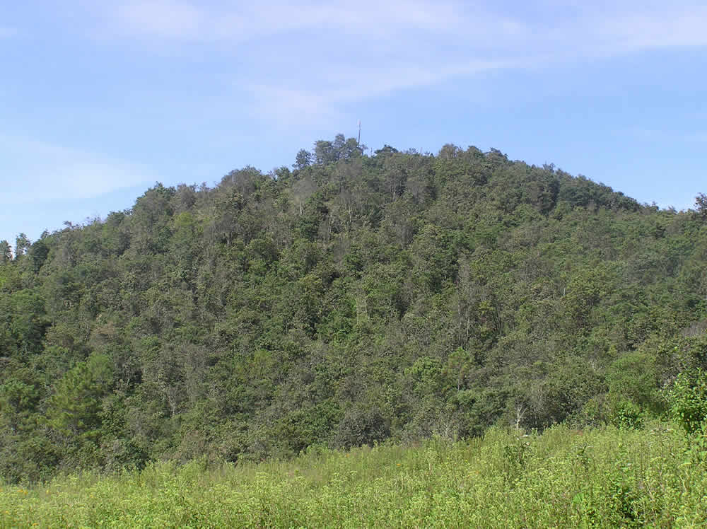 Ecosistemas y Fauna Mexicana - TuriMexico