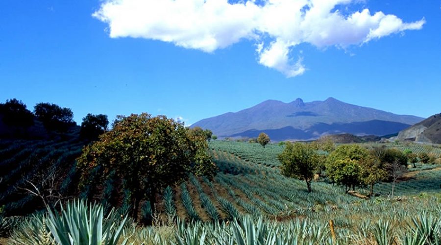 Volcán de Tequila - TuriMexico