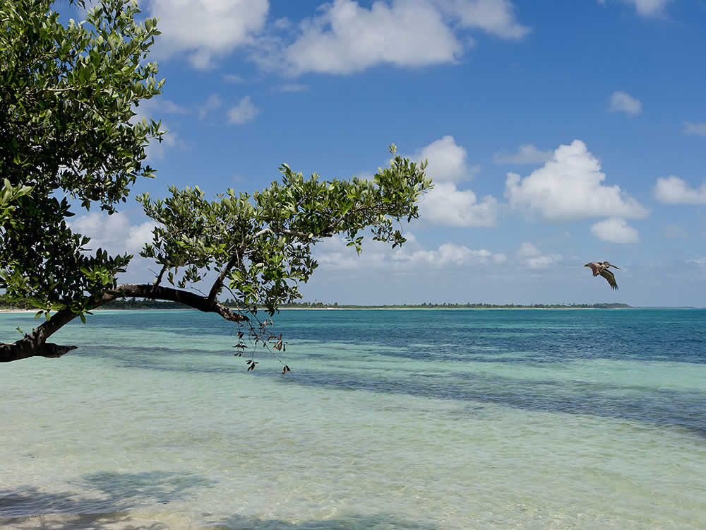 Bahía de Paredón en Chiapas - TuriMexico